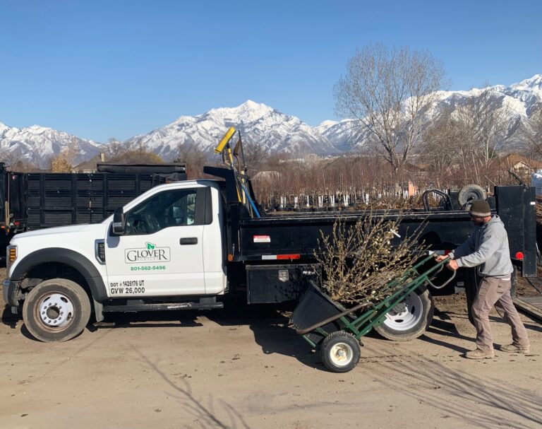 Plant & Tree Delivery Utah - Glover Nursery