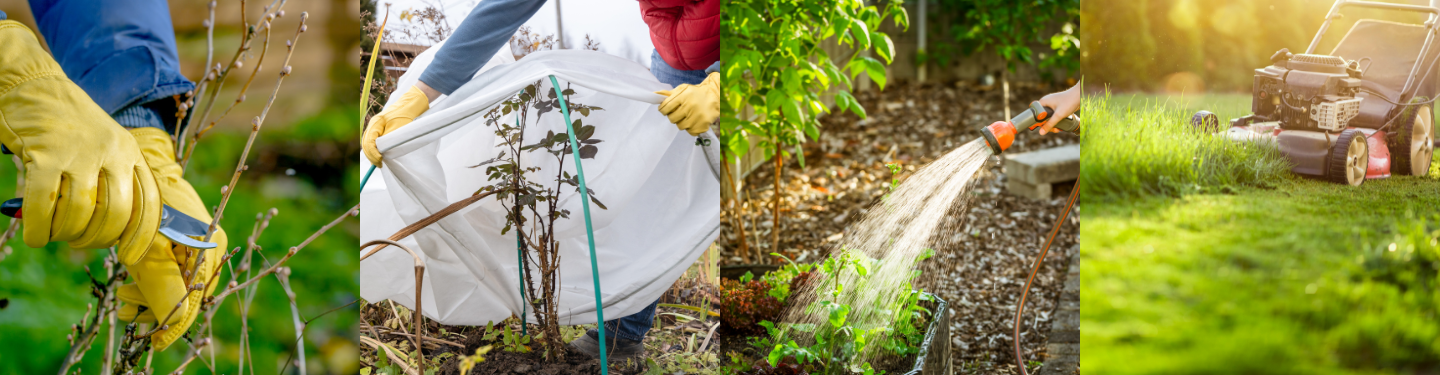Seasonal Plant Tips in Utah - Glover Nursery